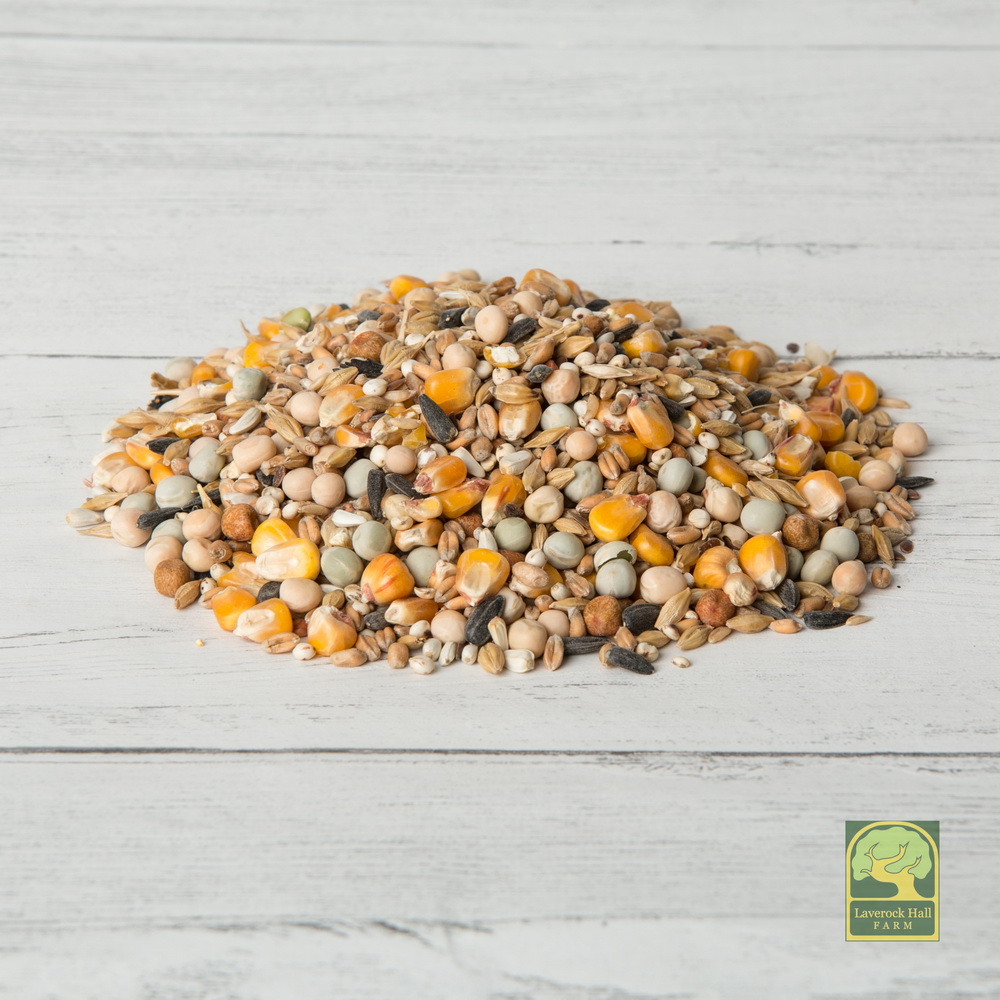 Racing Pigeon Food: Moulting Mix
