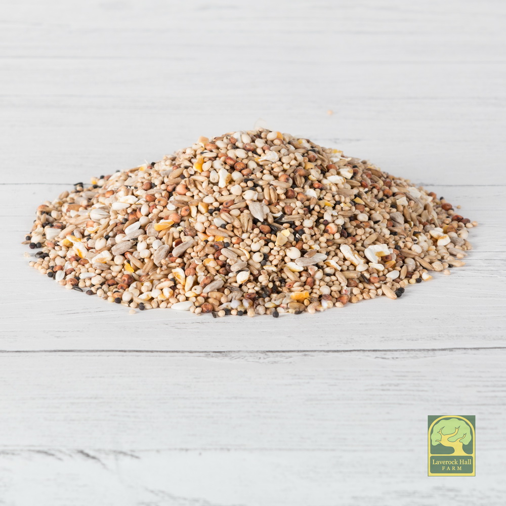 Wild Bird Food: No Waste Wild Bird Food 12.55kg